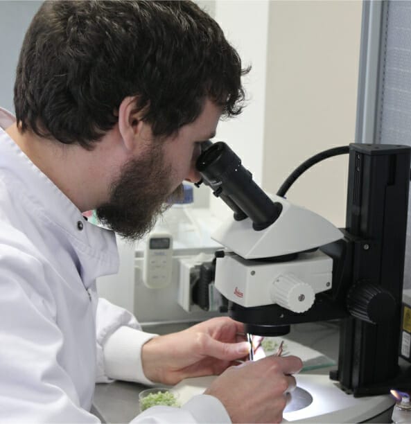 Your Trusted Seed Partner In A Changing World - LG Seeds