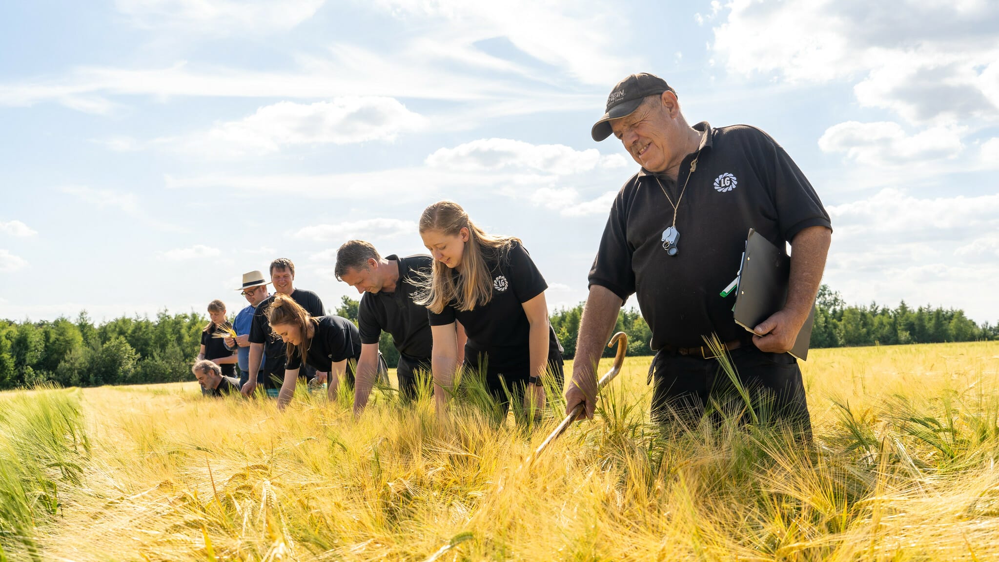 Browse Maize Varieties - LG Seeds